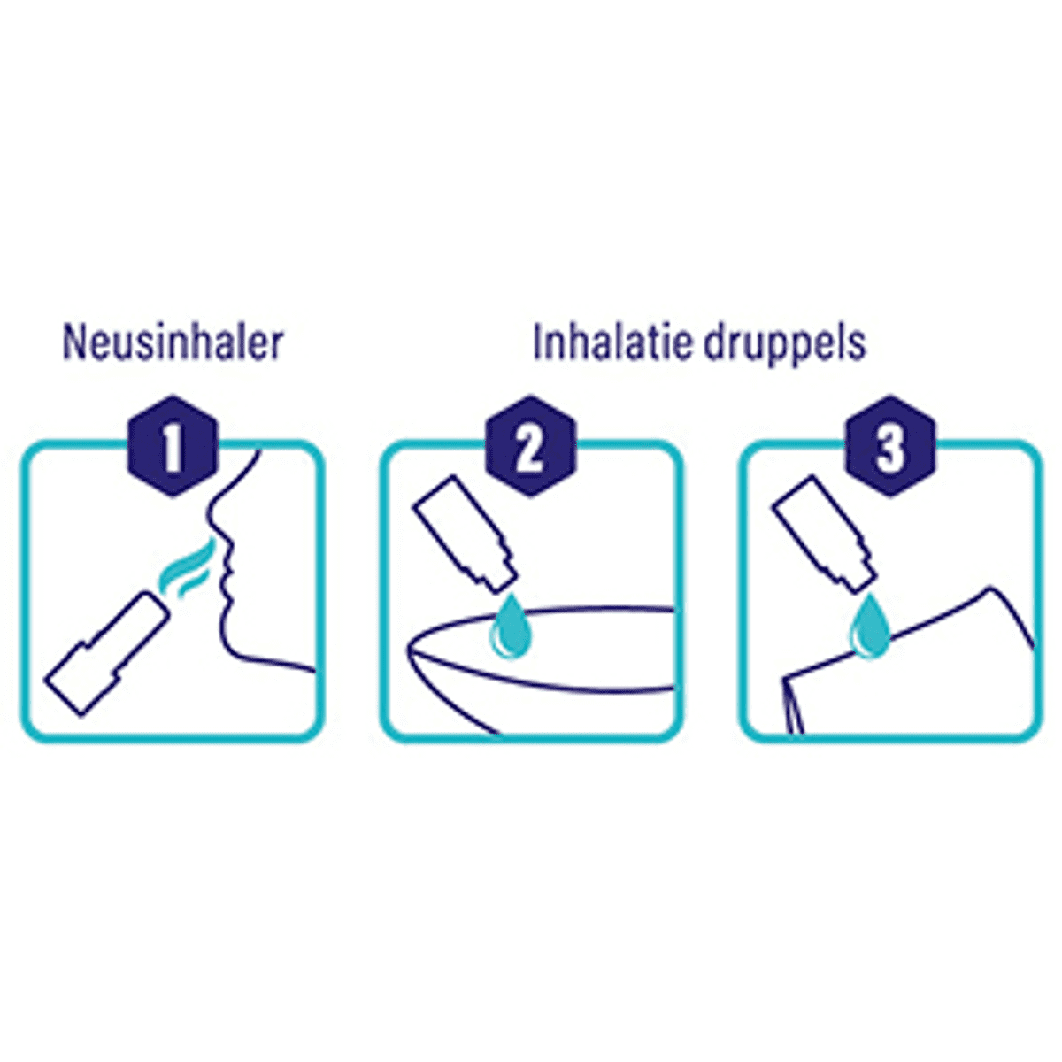 Dampo 2-in-1 Inhaler 2 ML 1 EA | Etos