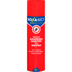 Dazenbeet? Dit moet je doen | Etos