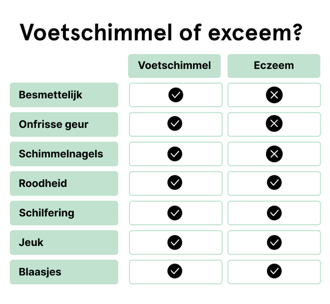 Voetschimmel (zwemmerseczeem): zo kom je er vanaf! | Etos