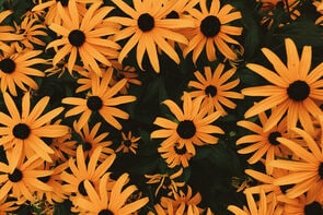 Borstgroei in de puberteit: dit moet je weten | Etos